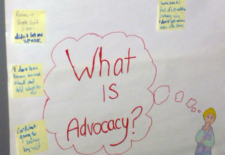 Training & Outreach | The Advocacy Project | Free, independent ...